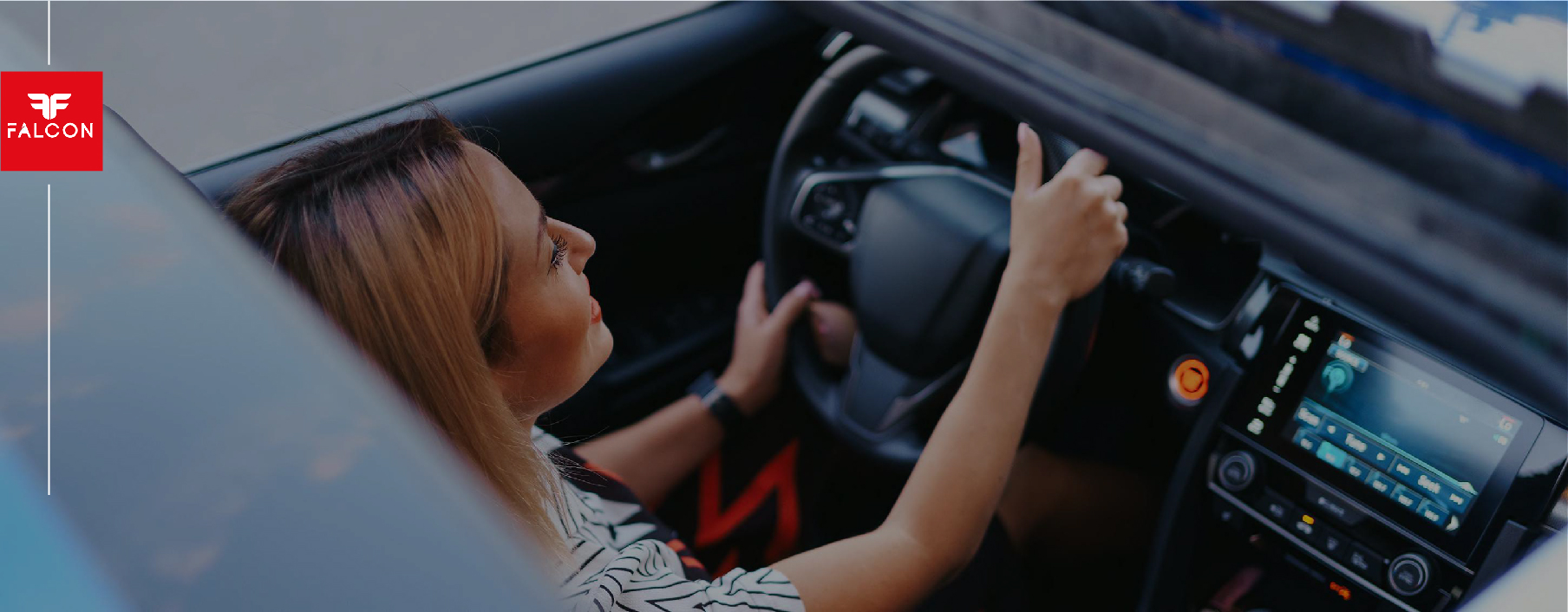 Lo que debemos saber de sunroof y el techo panorámico - Falcon